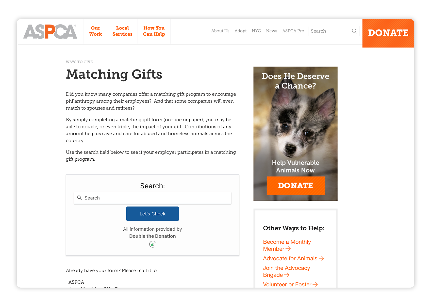 Best Website Builders for Nonprofits: Compare Your Options