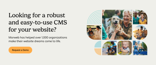 NGO Website Development for Success - Morweb